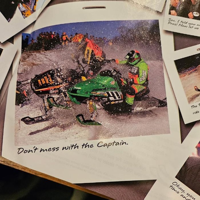 arctic cat poster